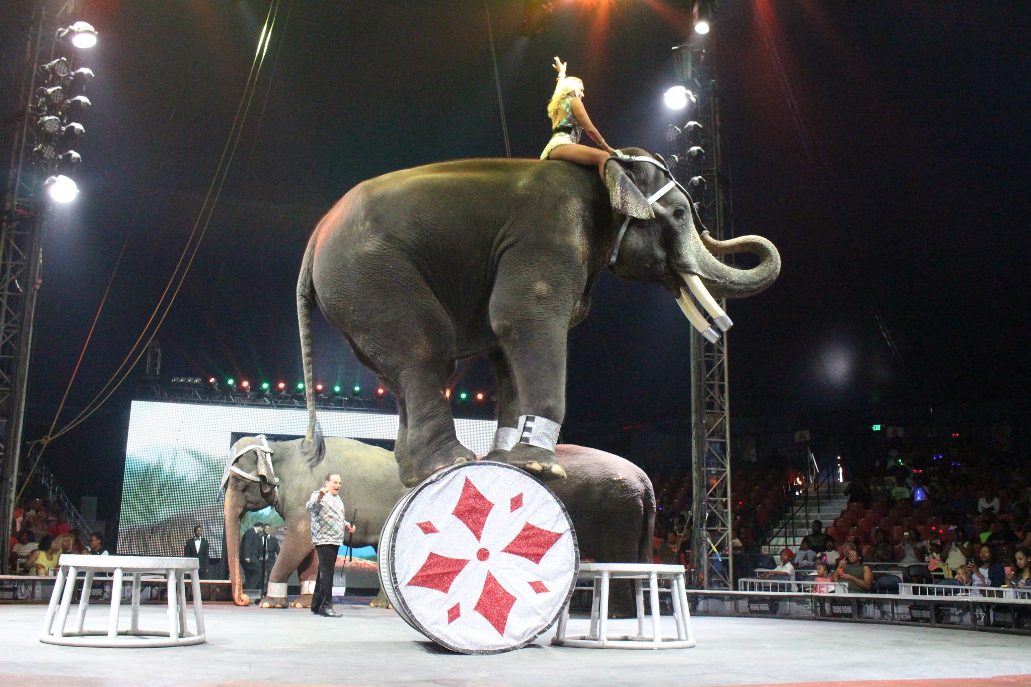 Ringling Bros. Circus to End ‘Greatest Show on Earth’ After 146 Years ...